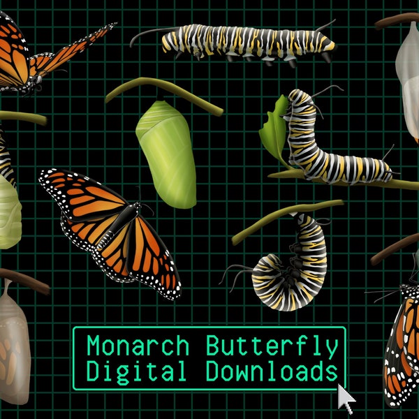 Monarch Butterfly - Etsy