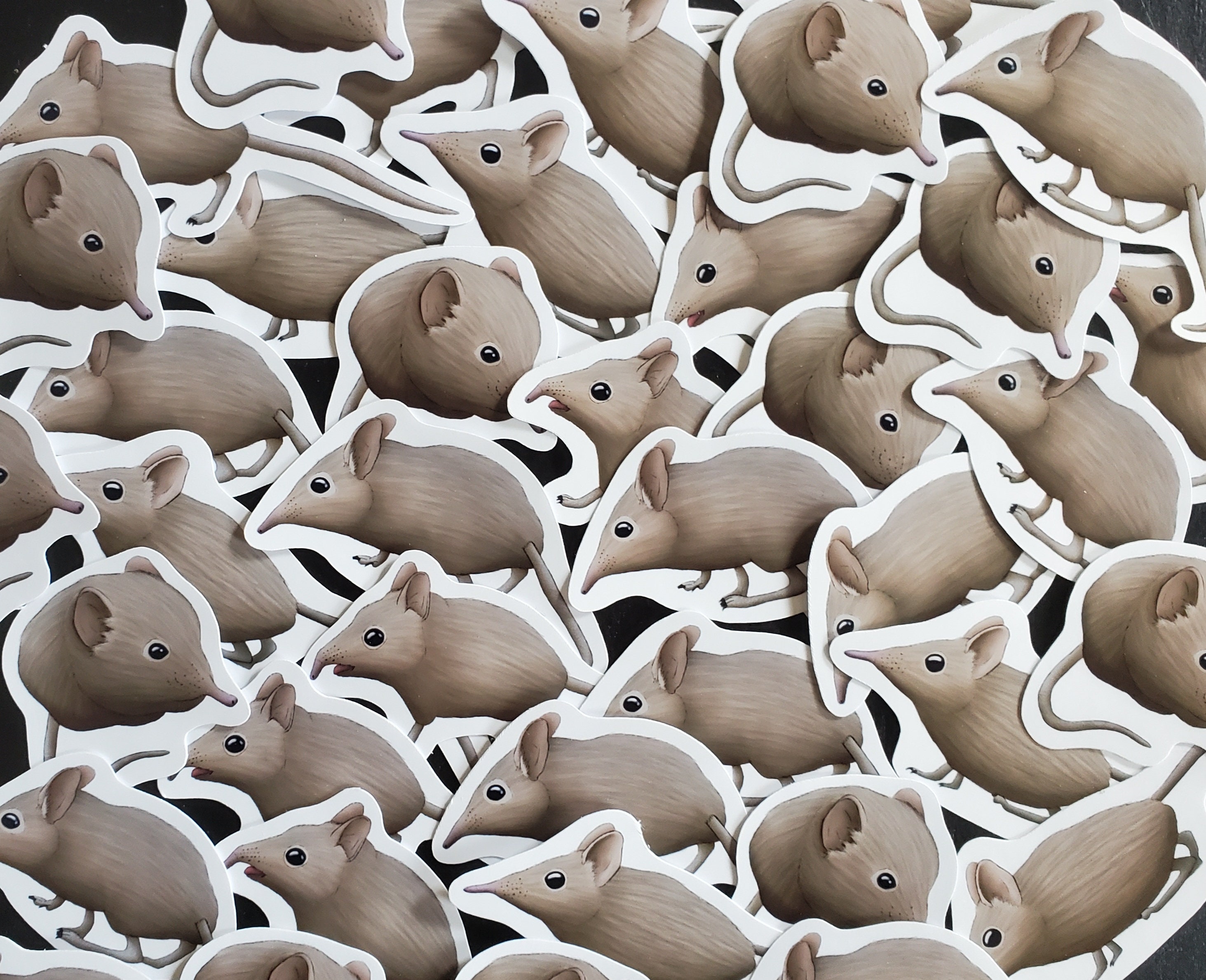 Elephant Shrew Sticker Pack African Wildlife Decals Waterproof Vinyl ...