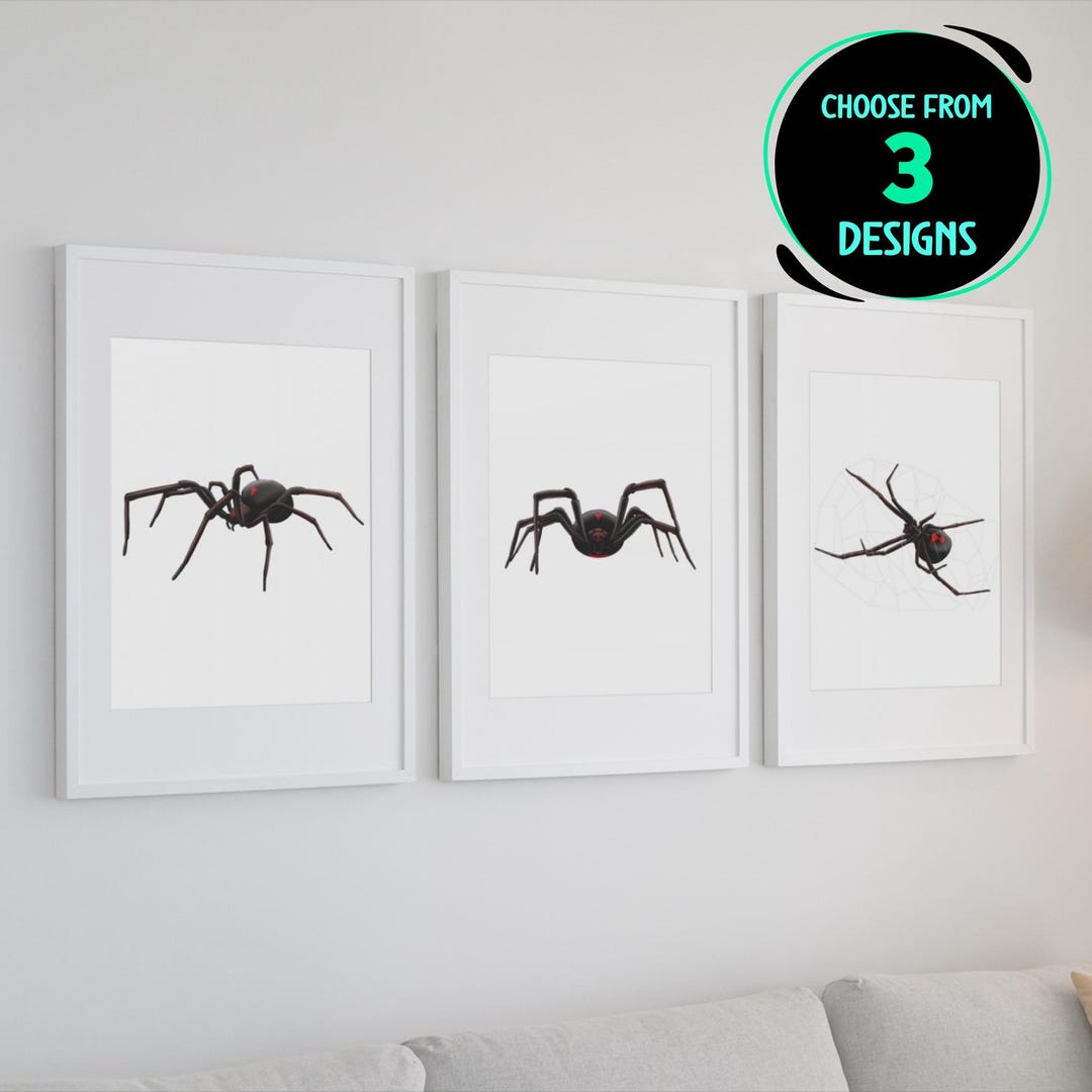 Black Widow Spider Print Set Arachnid Wall Art Realistic Insect ...