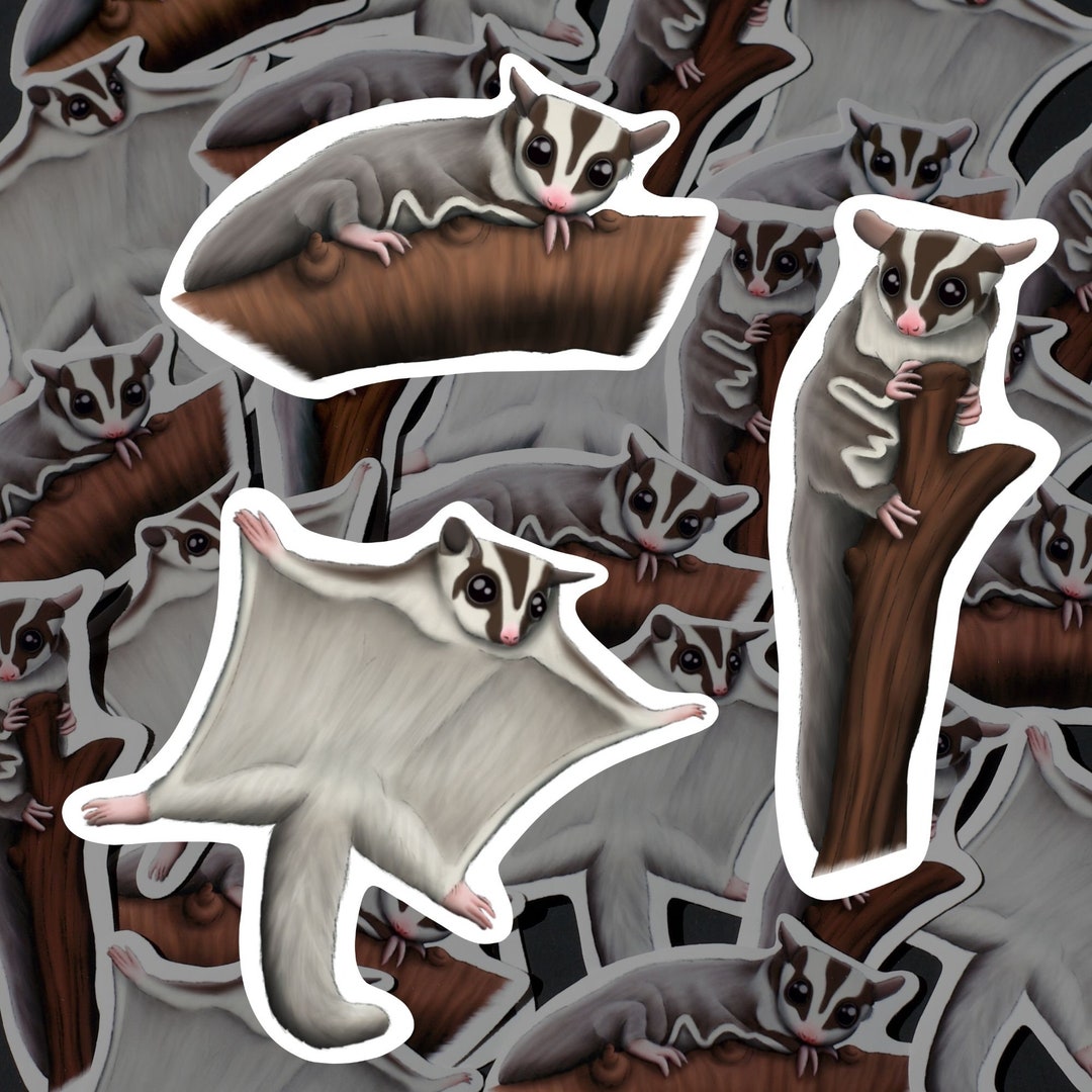 Sugar Glider Sticker Pack Cute Animal Decals Waterproof Vinyl Marsupial ...