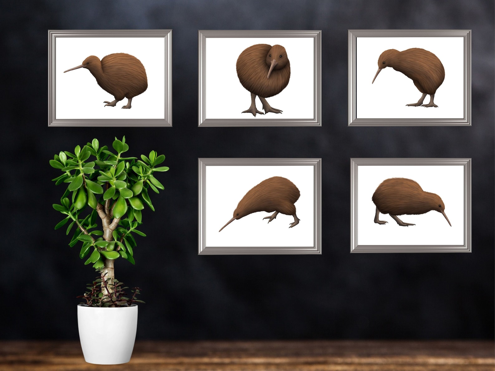 Kiwi Print Set Brown Kiwi Bird Wall Art New Zealand Wildlife Decor ...