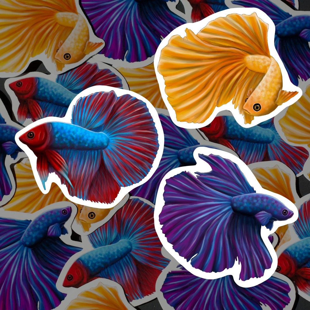 Betta Fish Sticker Pack Aquarium Fish Decals Colorful Betta Vinyl ...