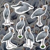 Santa Shoebill Stork Vinyl Sticker // Hand Drawn Sticker - Etsy