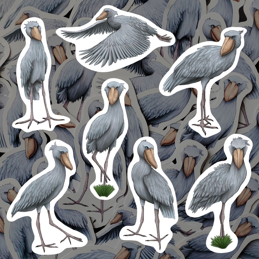 Shoebill Stork Sticker Pack Bird Waterproof Vinyl Decal Wildlife ...