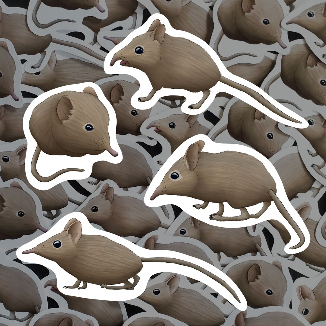 Elephant Shrew Sticker Pack African Wildlife Decals Waterproof Vinyl ...