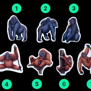 Great Apes Sticker Pack Primate Decals Waterproof Vinyl Lowland Gorilla ...