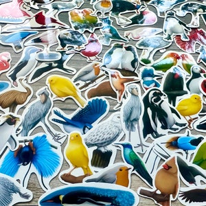 Assorted Bird Stickers, Mini Sticker Pack, Wildlife Stationary, Water ...
