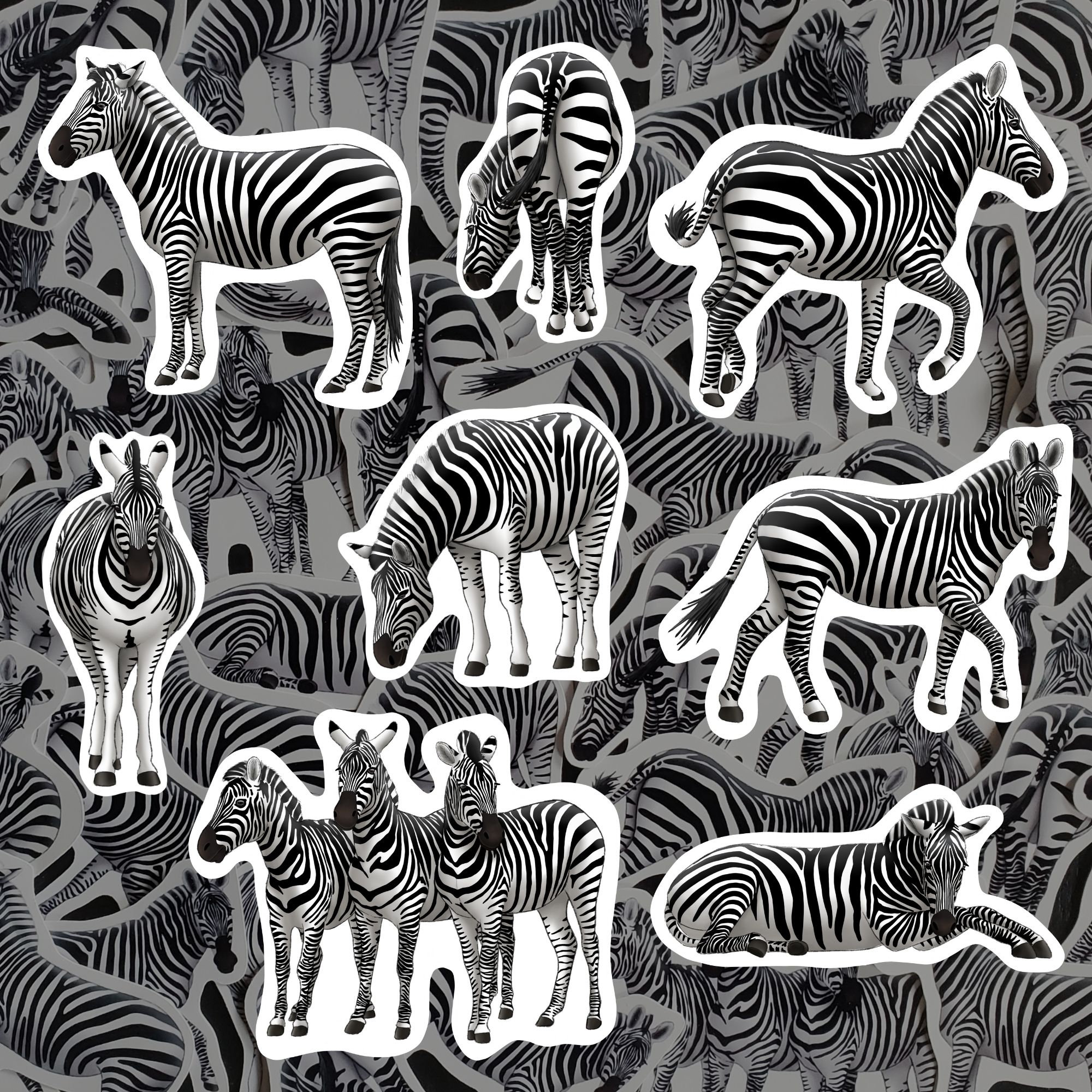 Zebra Sticker Pack Safari Animal Decals Waterproof Vinyl Zebra - Etsy