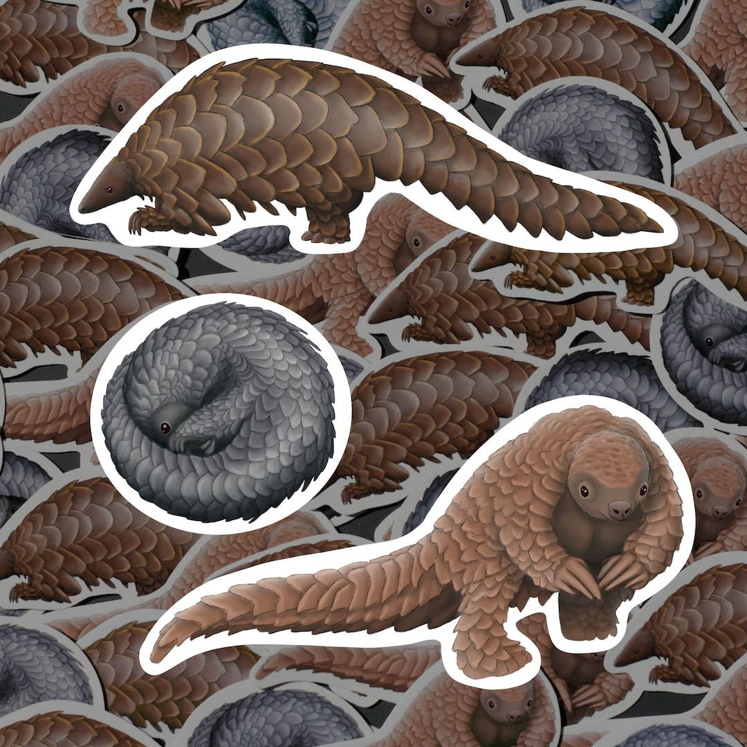 Pangolin Sticker Pack Endangered Animal Decals Conservation Vinyl ...