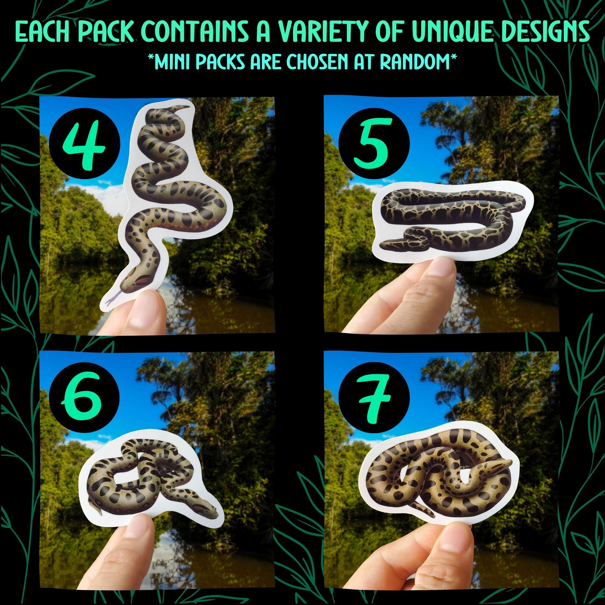 Anaconda Sticker Pack Rainforest Waterproof Vinyl Decal Jungle Wildlife ...