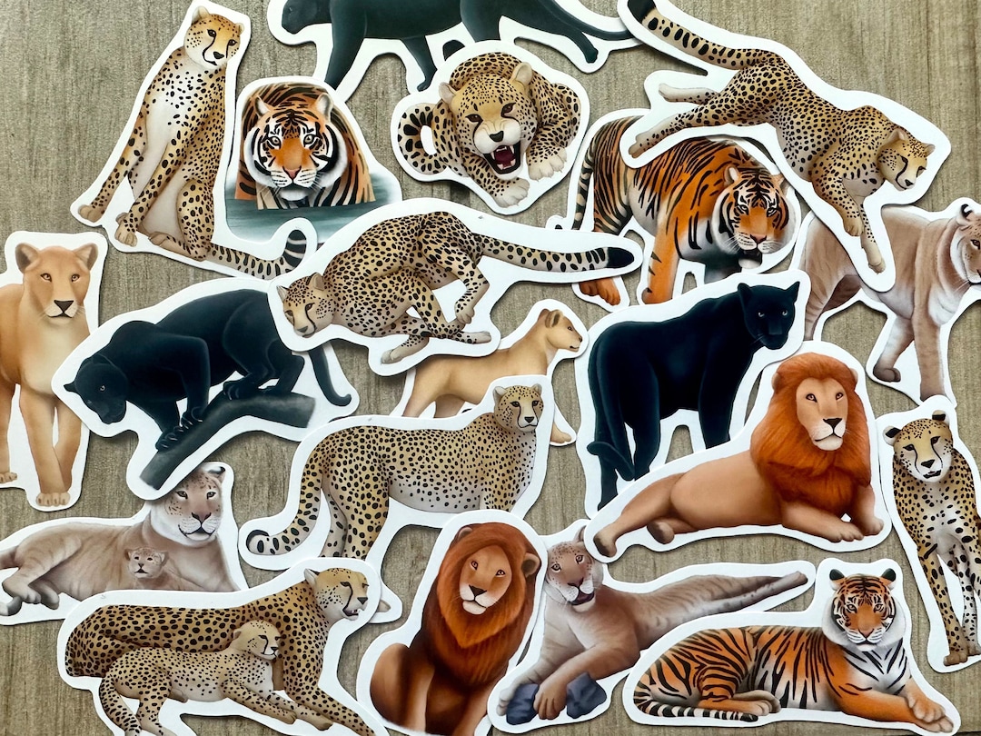 Big Cat Stickers, Mini Sticker Pack, Wildlife Stationary, Water Proof ...
