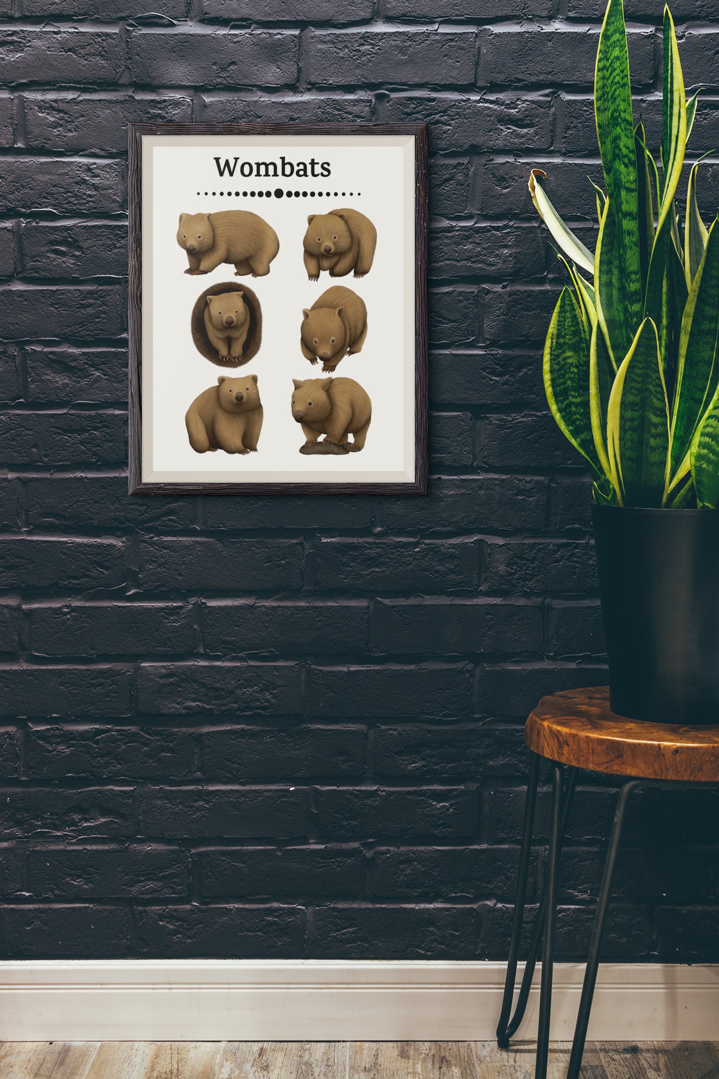 Wombat Print / Wombat Poster / Wombat Wall Art / Wombat - Etsy Australia
