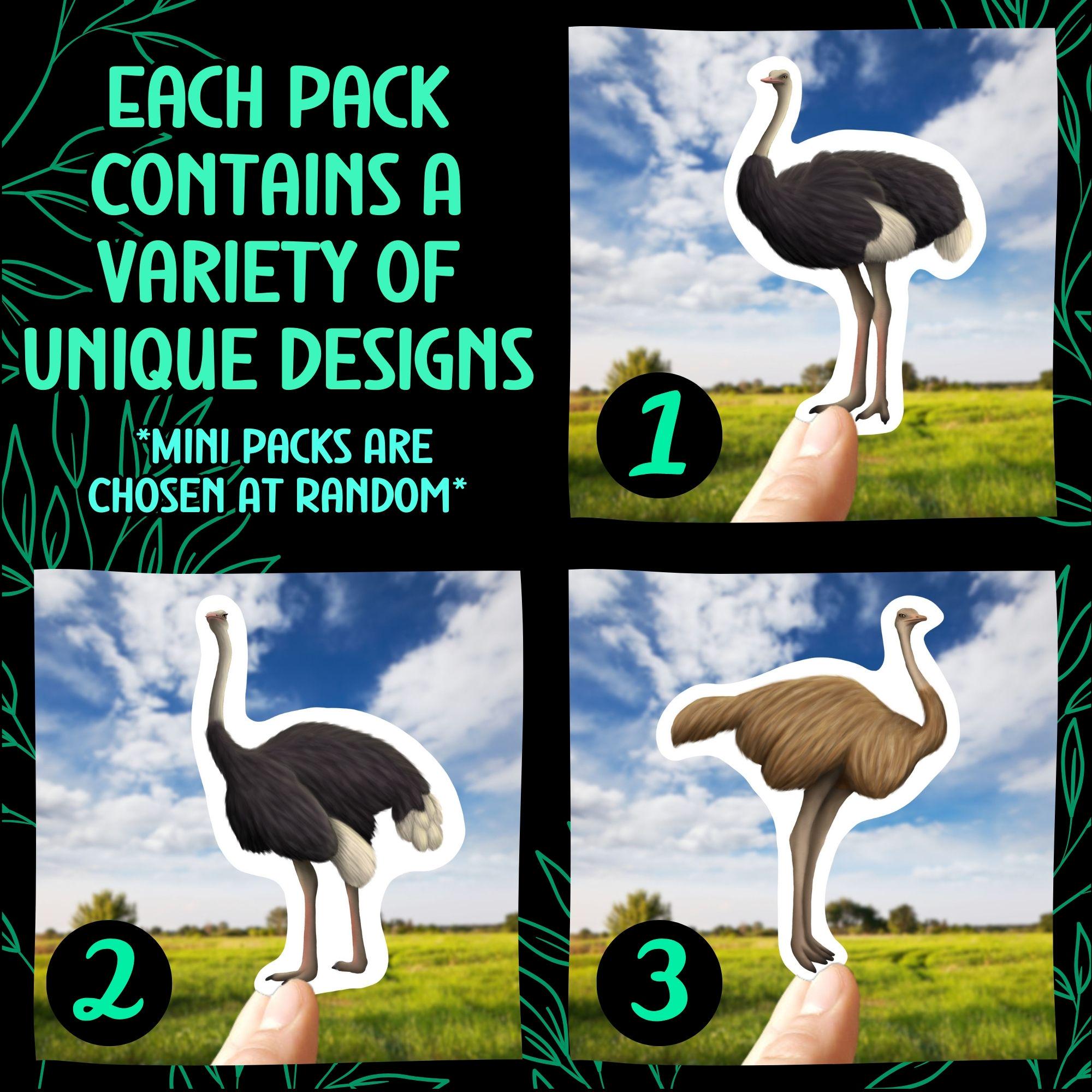 Ostrich Sticker Pack Waterproof Vinyl African Bird Decals Savanna ...