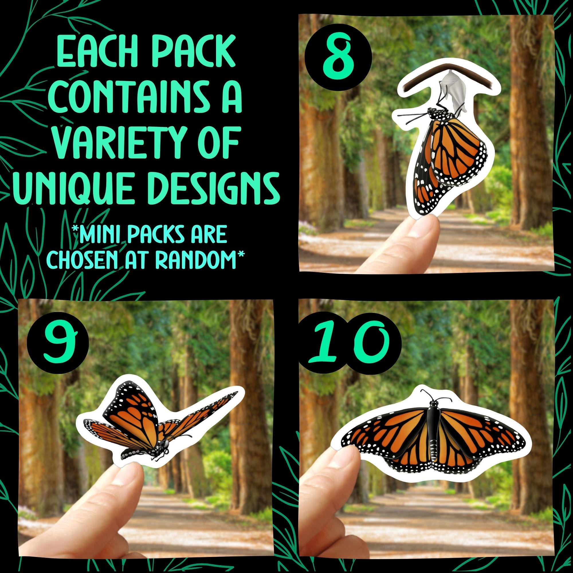 Monarch Butterfly Life Cycle Stickers Butterfly Decals Caterpillar ...