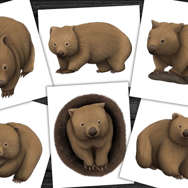 Wombat Art - Etsy