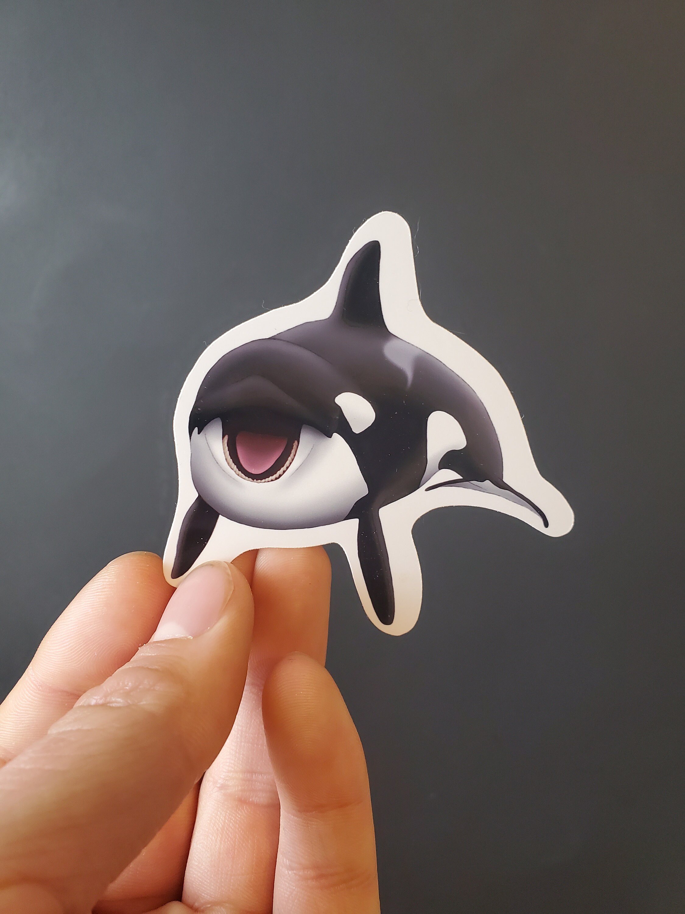 Orca Stickers Killer Whale Sticker Pack 7 Pcs Water Proof | Etsy