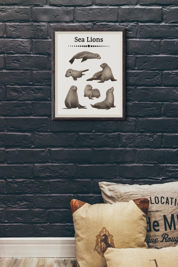 Sea Lion Print / Sea Lion Poster / Sea Lion Wall Art / - Etsy