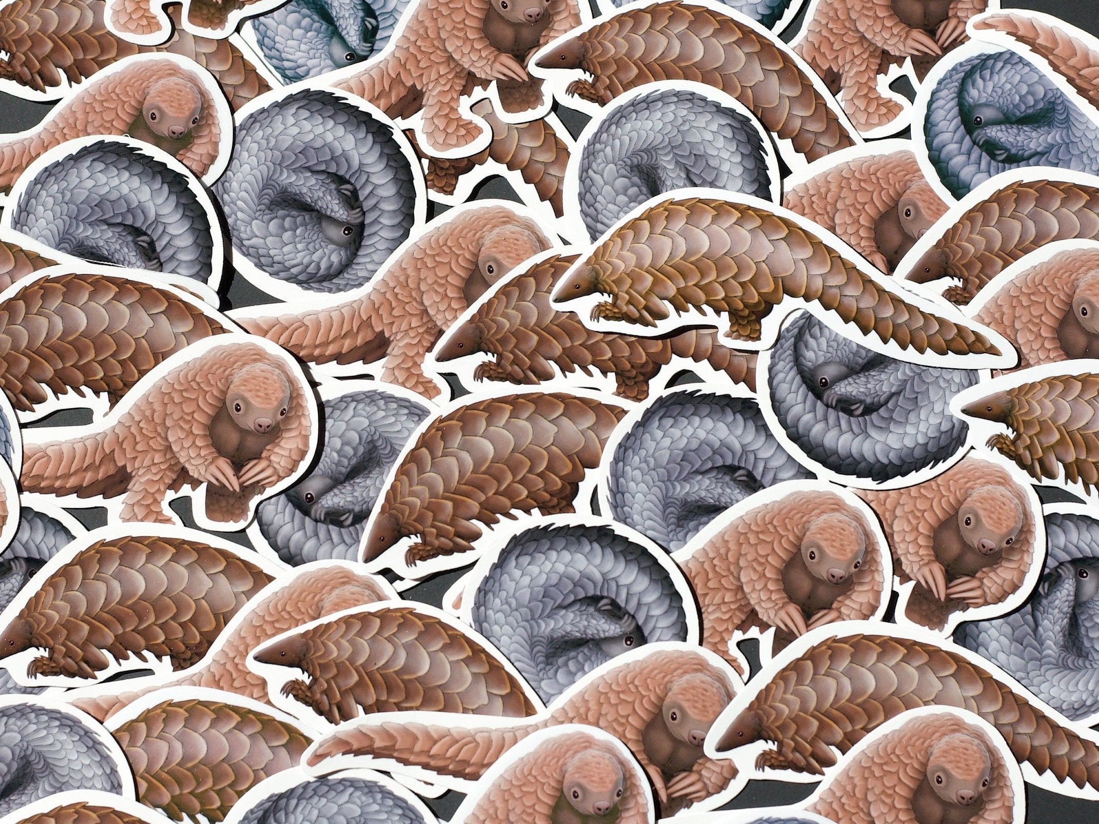 Pangolin Sticker Pack Endangered Animal Decals Conservation Vinyl ...