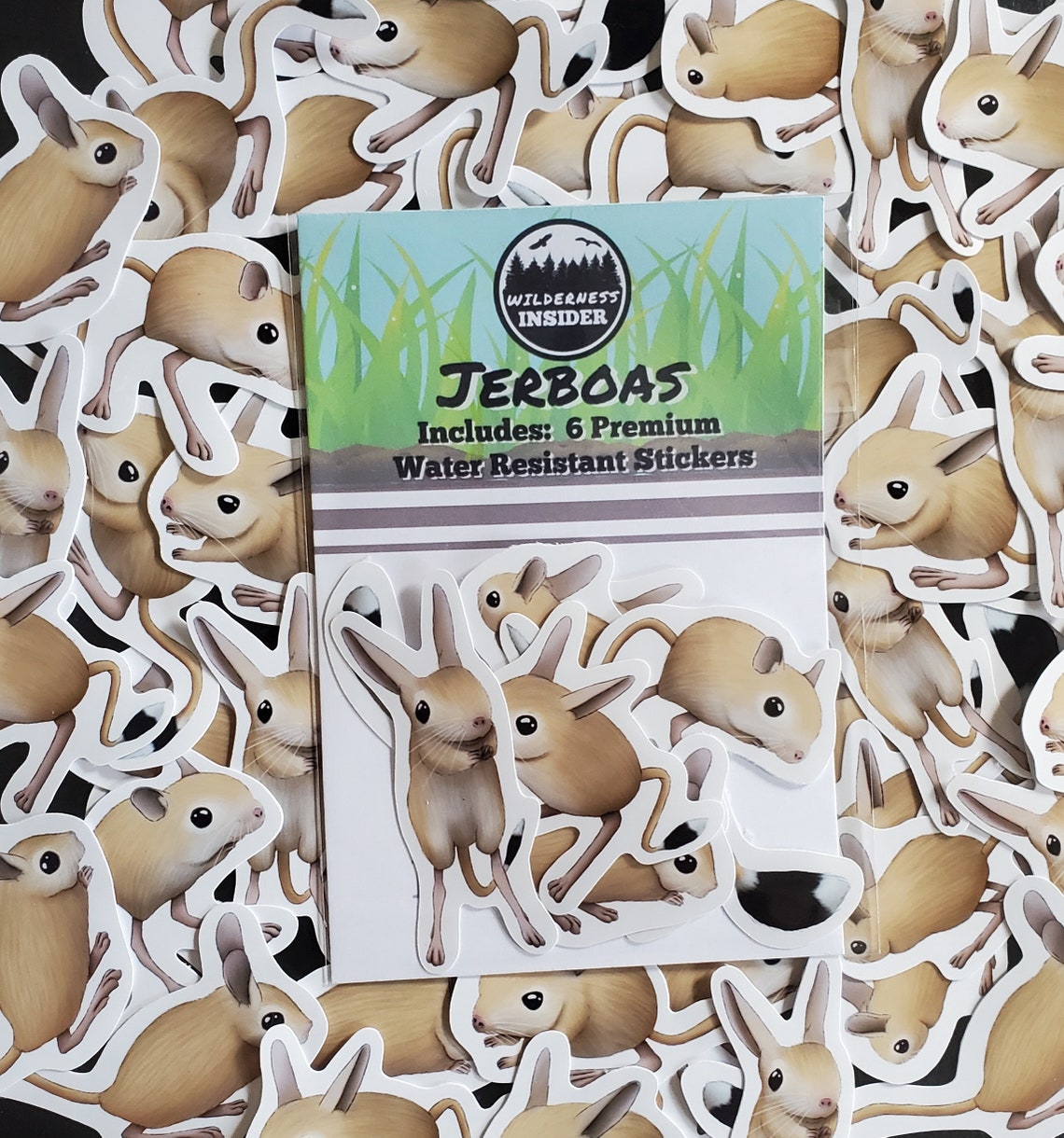 Jerboa Sticker Pack Desert Wildlife Decals Exotic Rodent Stickers Cute ...