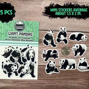 Giant Panda Sticker Pack Bear Decals Endangered Species Vinyl Stickers ...