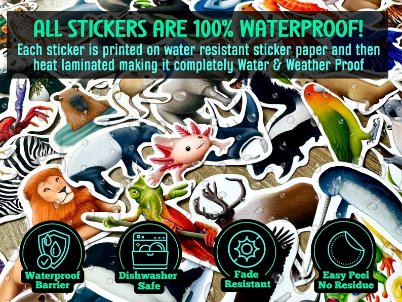 Anaconda Sticker Pack Rainforest Waterproof Vinyl Decal Jungle Wildlife ...