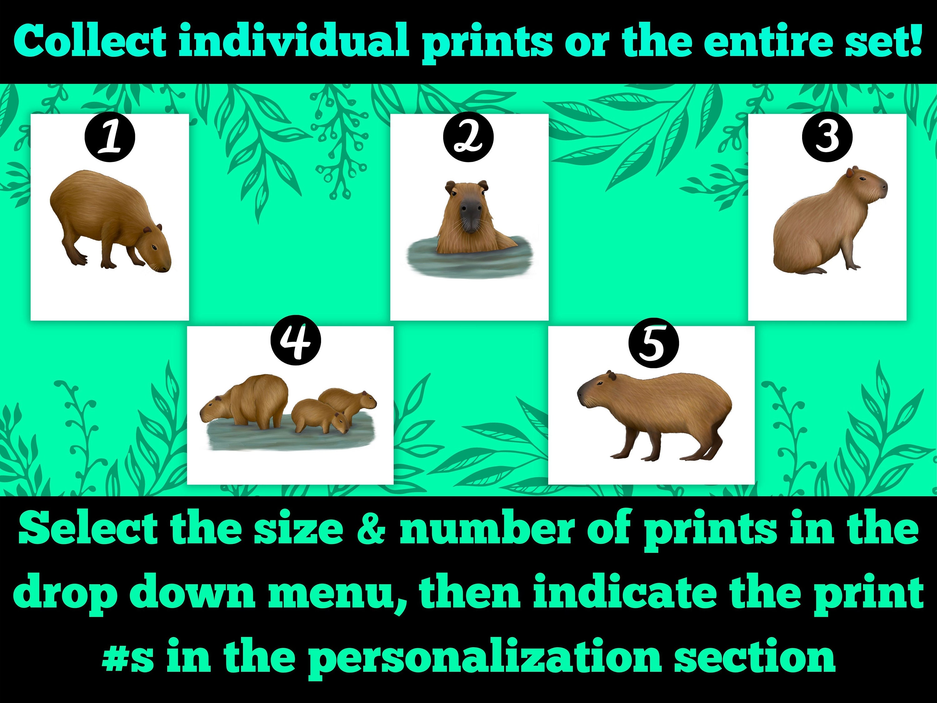 Capybara Prints / Capybara Wall Art / Capybara Collection / Animal ...