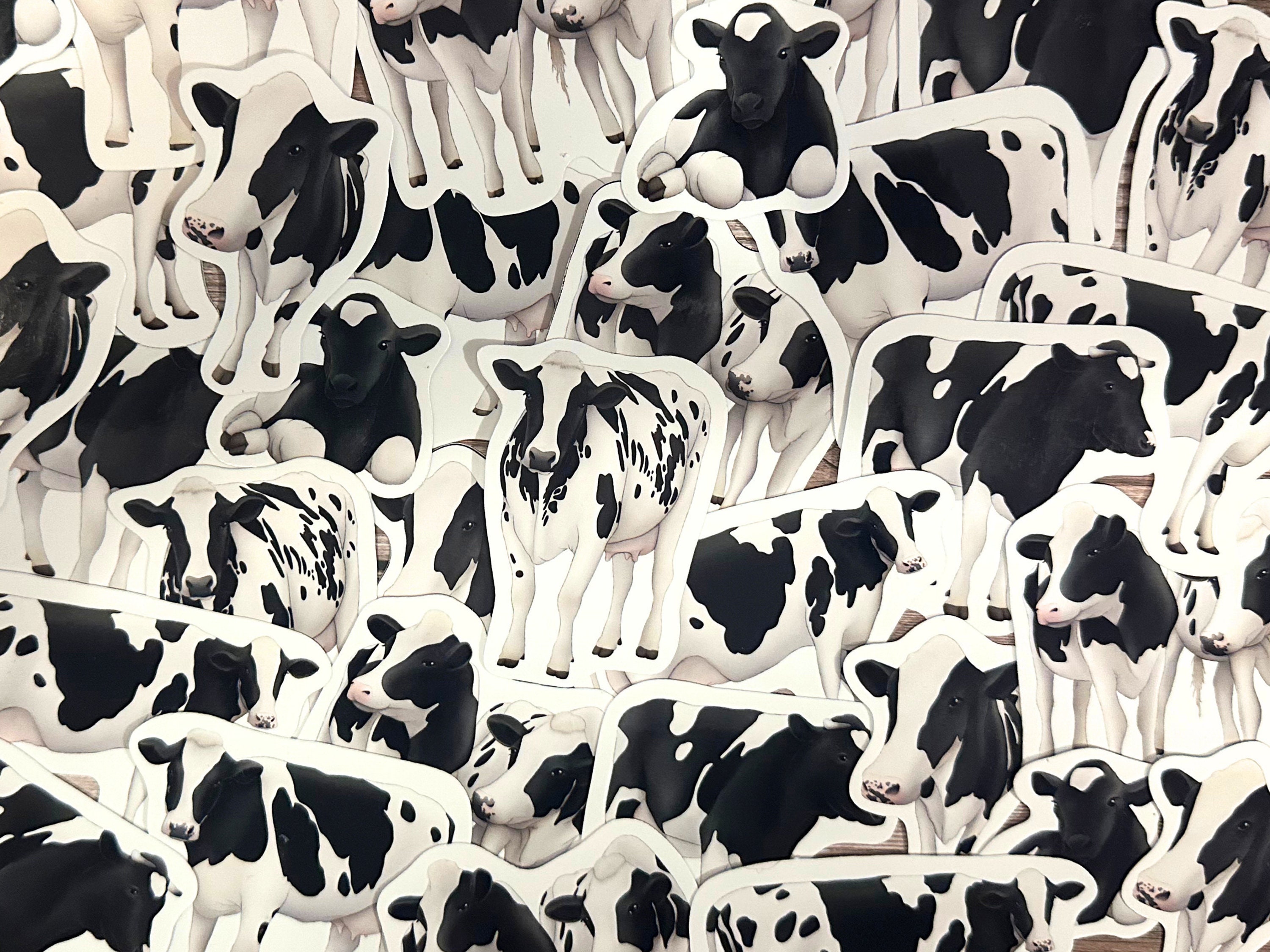 Cow Sticker Pack Bovine Vinyl Decal Dairy Farm Animal Lover Gift ...