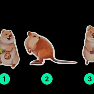 Quokka Sticker Pack Smiling Quokka Vinyl Decals Australian - Etsy