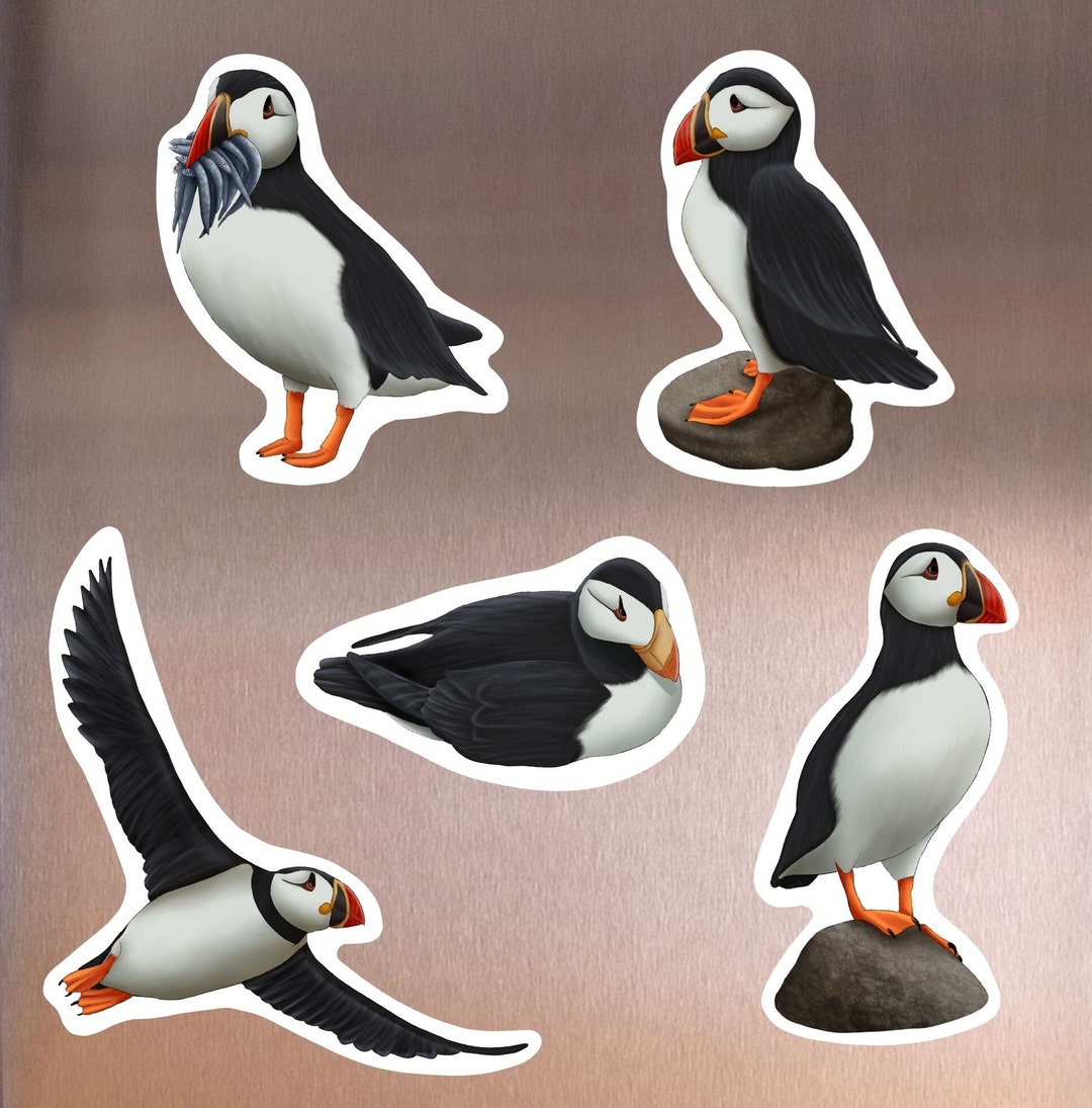 Puffin Magnet Set Waterproof Vinyl UK Bird Magnets for Fridge - Etsy