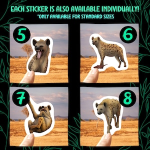 Hyena Sticker Pack Laughing Hyena Vinyl Decals Safari Animal Decal for ...