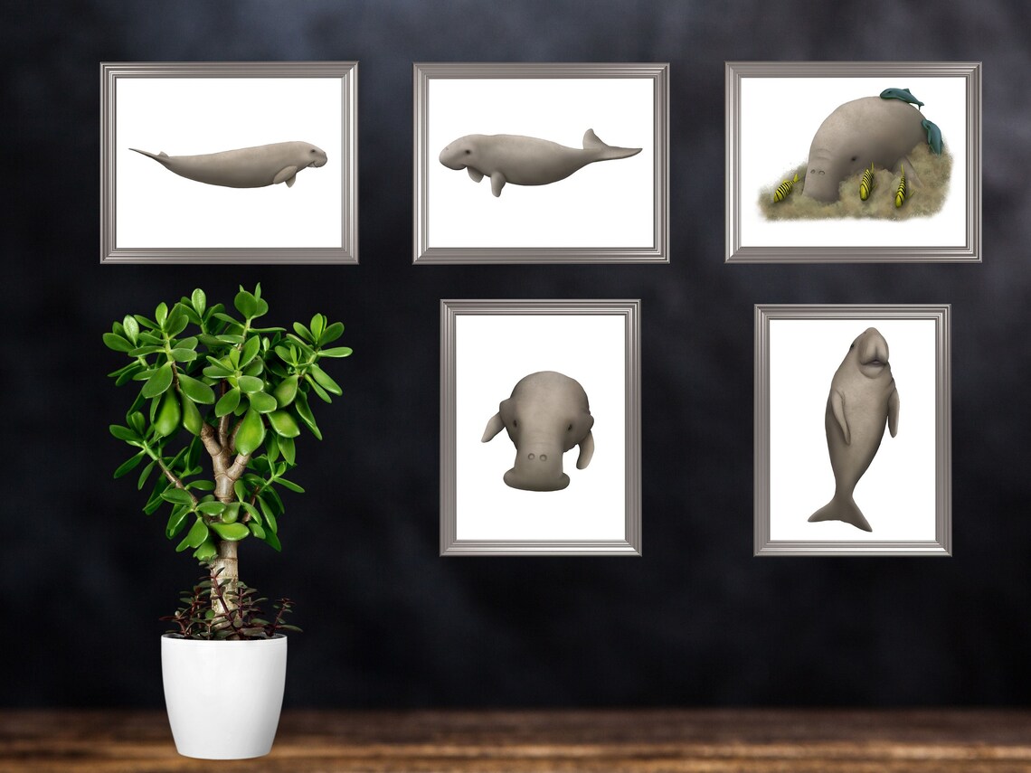 Dugong Art Prints Sea Cow Illustration Marine Mammal Decor Coastal ...