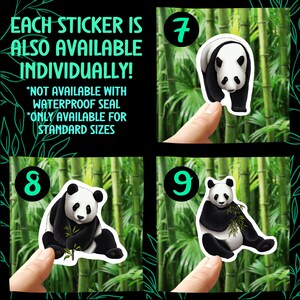 Giant Panda Sticker Pack Bear Decals Endangered Species Vinyl Stickers ...