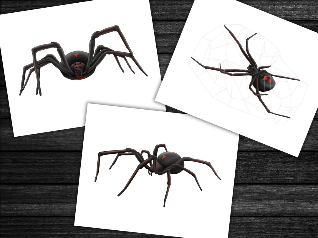 Black Widow Spider Print Set Arachnid Wall Art Realistic Insect ...