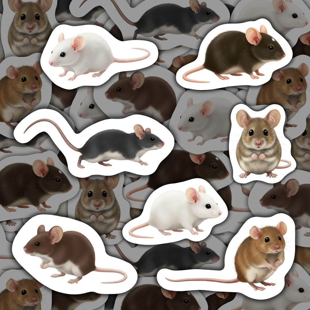 Mouse Stickers Vinyl Decals Waterproof Wildlife Stationery Gift for ...