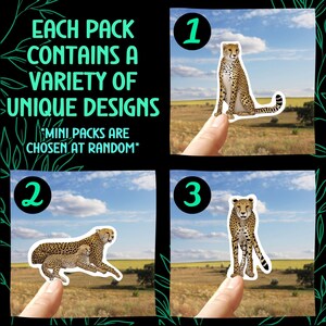 Cheetah Sticker Pack Waterproof Vinyl Decal Safari Wildlife Stationery ...