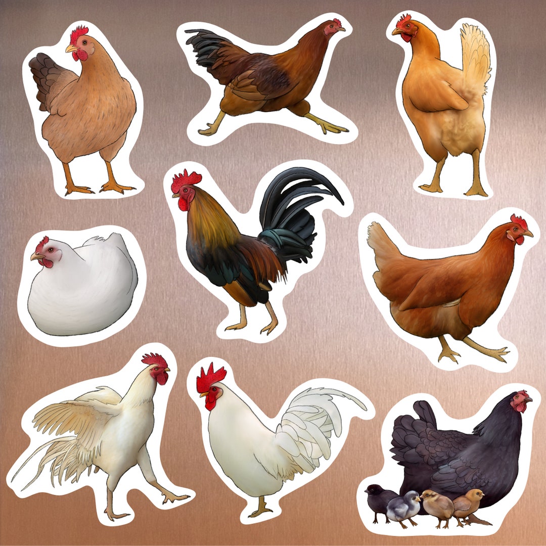 Chicken Magnet Set Farmhouse Kitchen Decor Rooster Hen Waterproof Vinyl ...