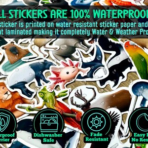 Cicada Sticker Pack Waterproof Vinyl Decal Insect Stationery Gift for ...