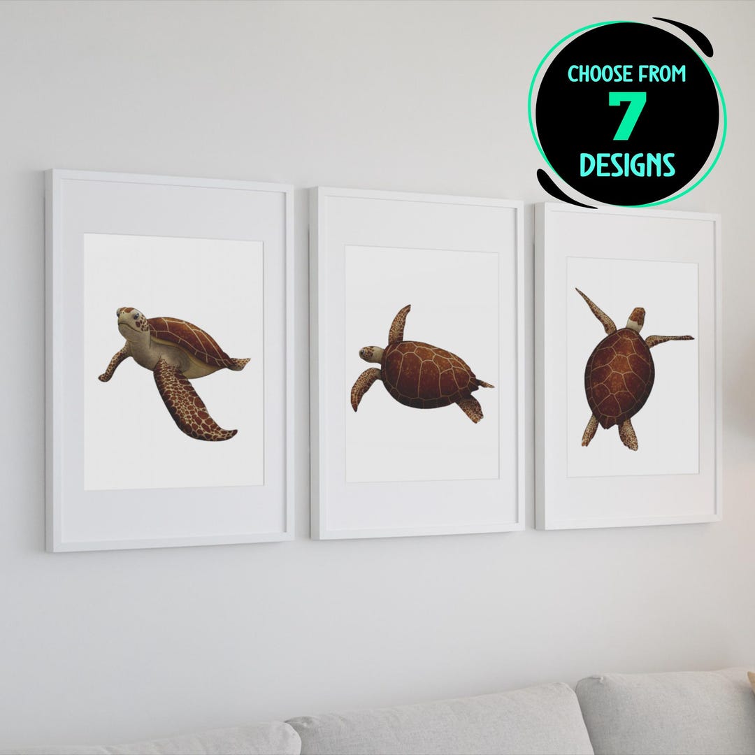 Sea Turtle Print Set Coastal Wildlife Wall Decor Turtle Artwork ...