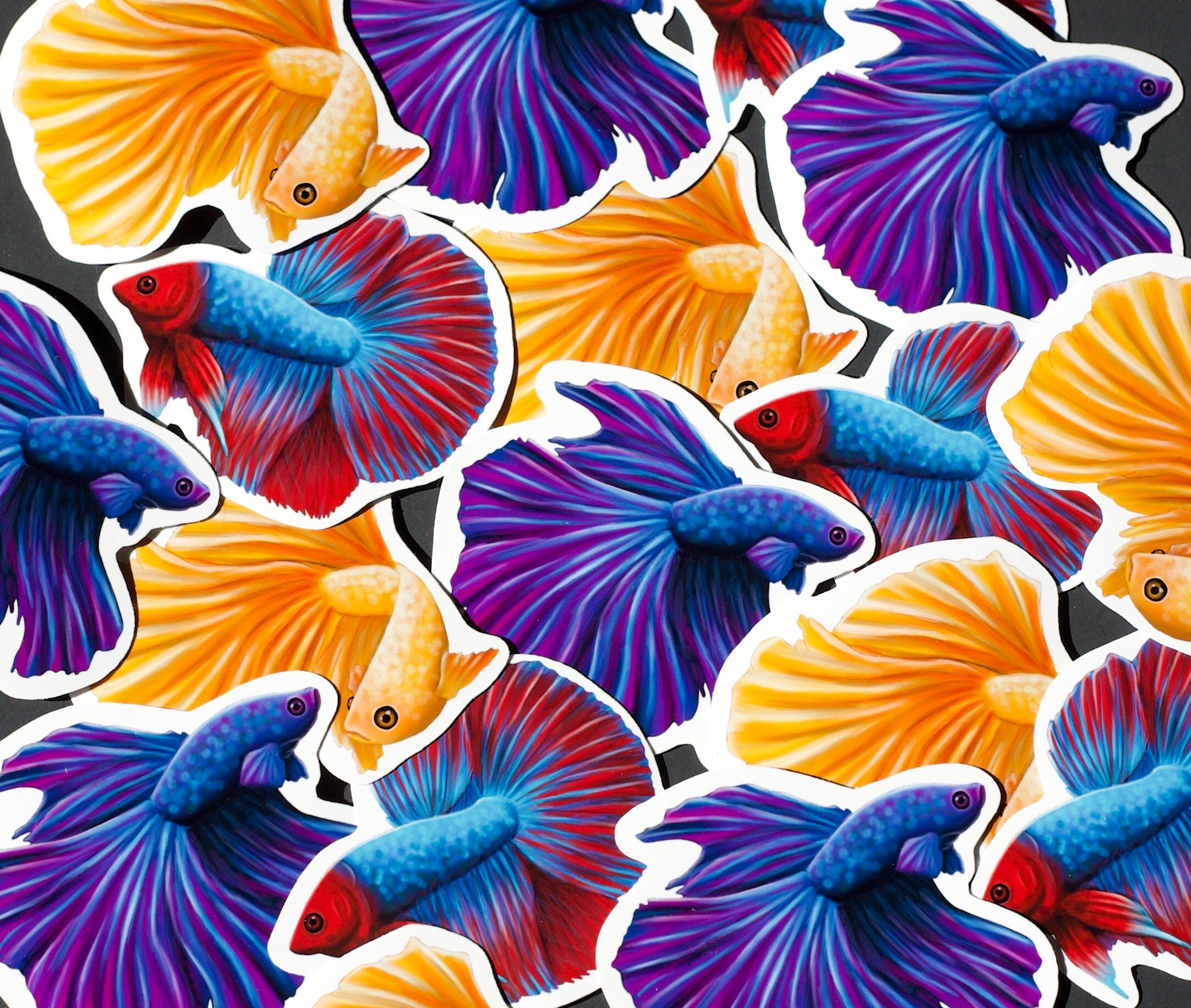 Betta Fish Sticker Pack Aquarium Fish Decals Colorful Betta - Etsy
