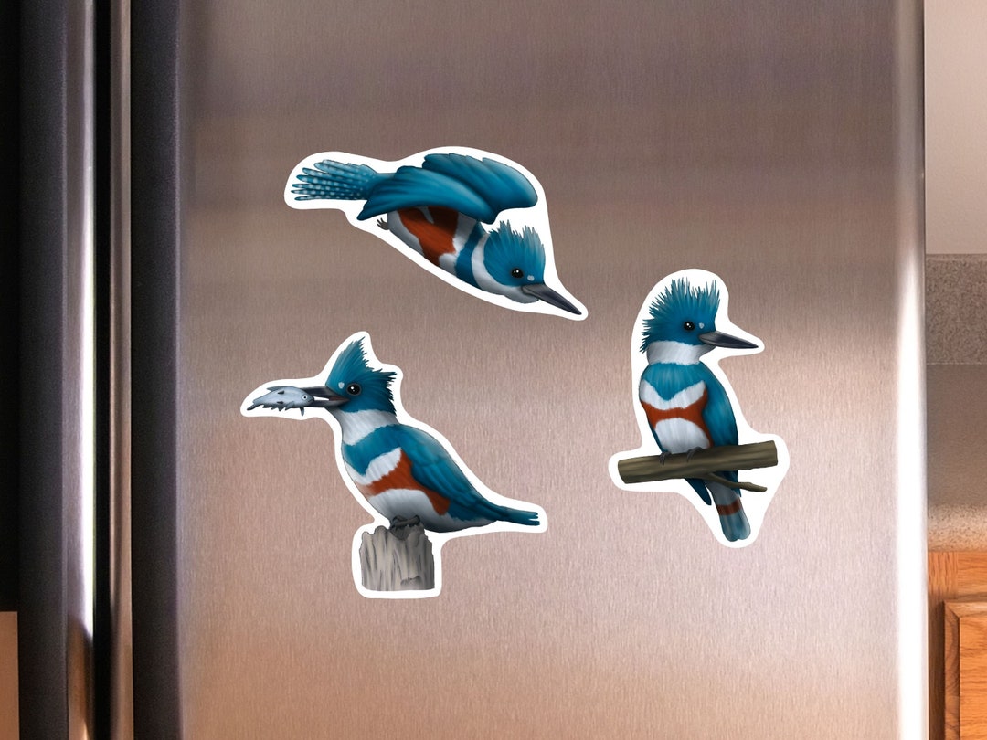 Kingfisher Magnets Animal Magnet Pack 3 Pcs Belted - Etsy