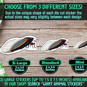 Cicada Sticker Pack Waterproof Vinyl Decal Insect Stationery Gift for ...