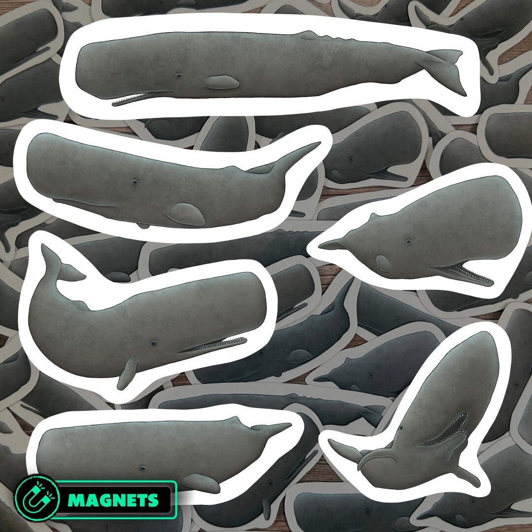 Sperm Whale Magnet Set Ocean Animal Decal Durable Fridge Locker Decor ...