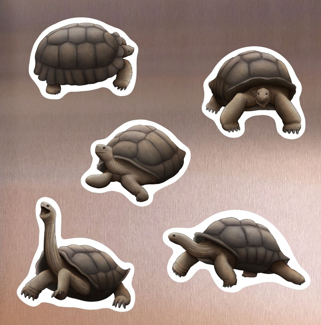 Giant Tortoise Magnet Set Waterproof Vinyl Turtle Magnets for Fridge ...