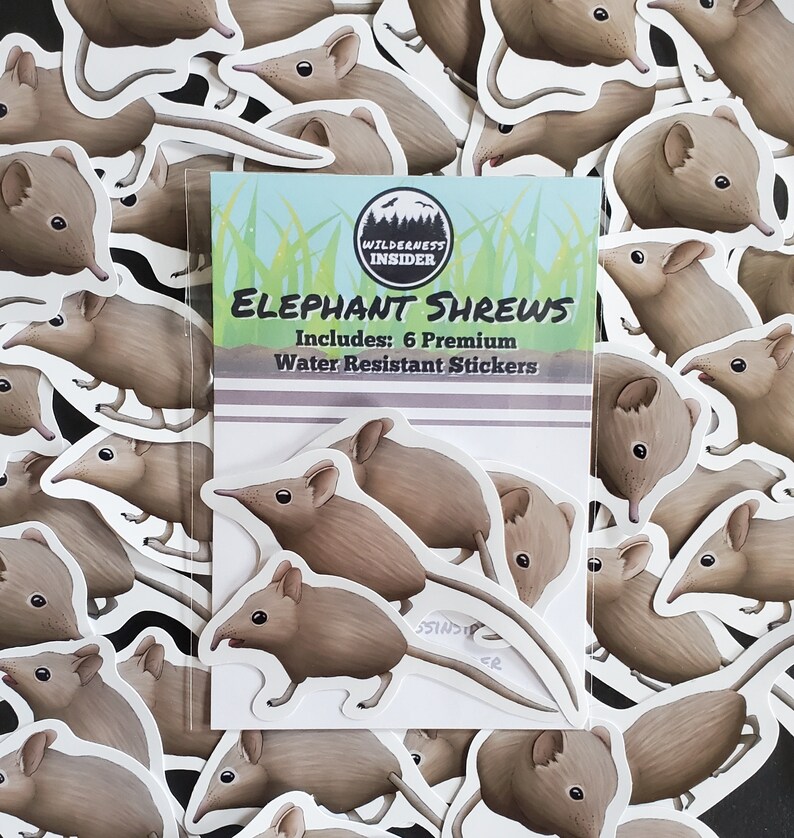 Elephant Shrew Sticker Pack African Wildlife Decals Waterproof Vinyl ...