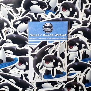 Orca Sticker Pack Killer Whale Vinyl Decal Marine Life Stationery Gift ...