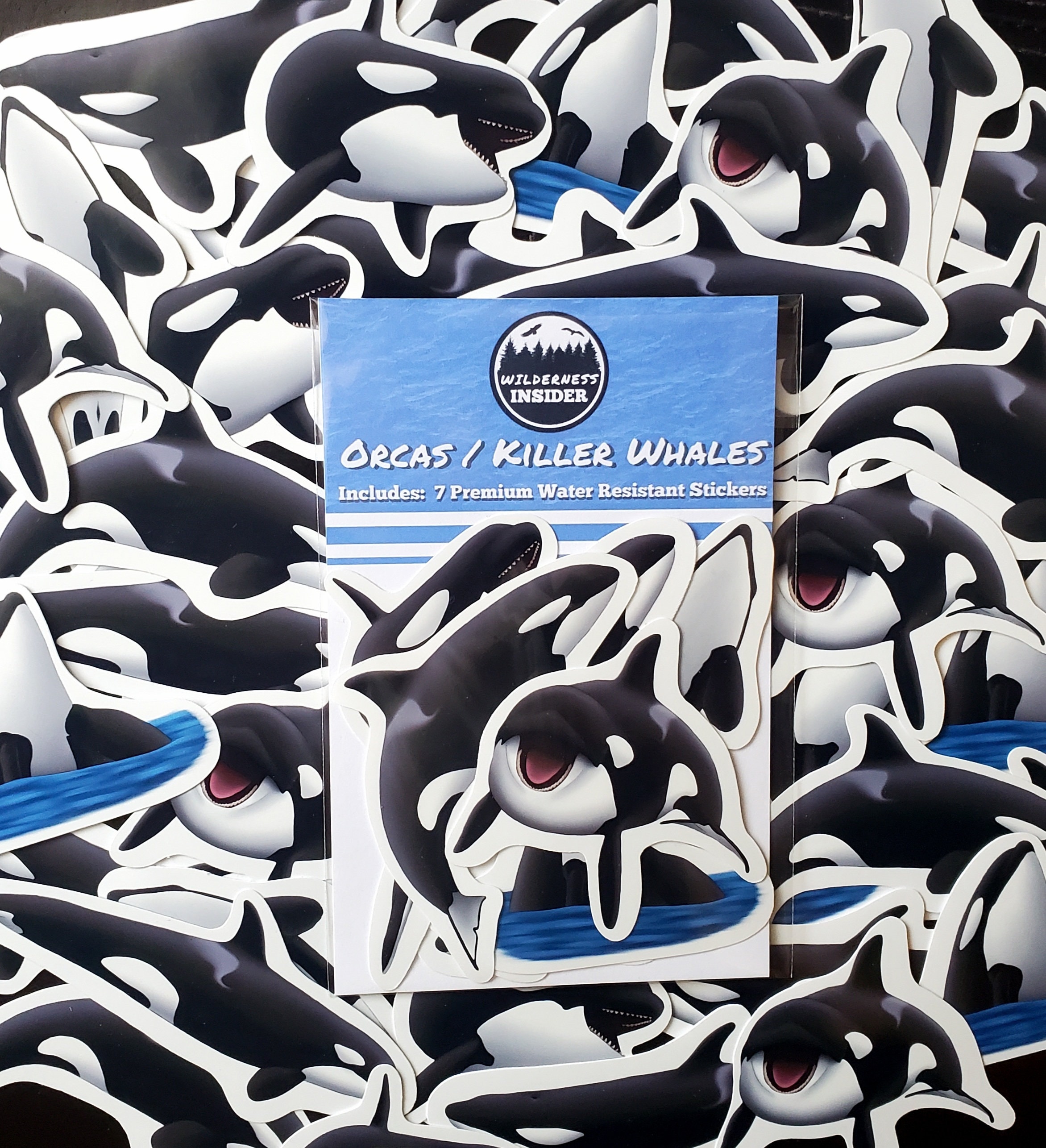 Orca Stickers Killer Whale Sticker Pack 7 Pcs Water Proof | Etsy