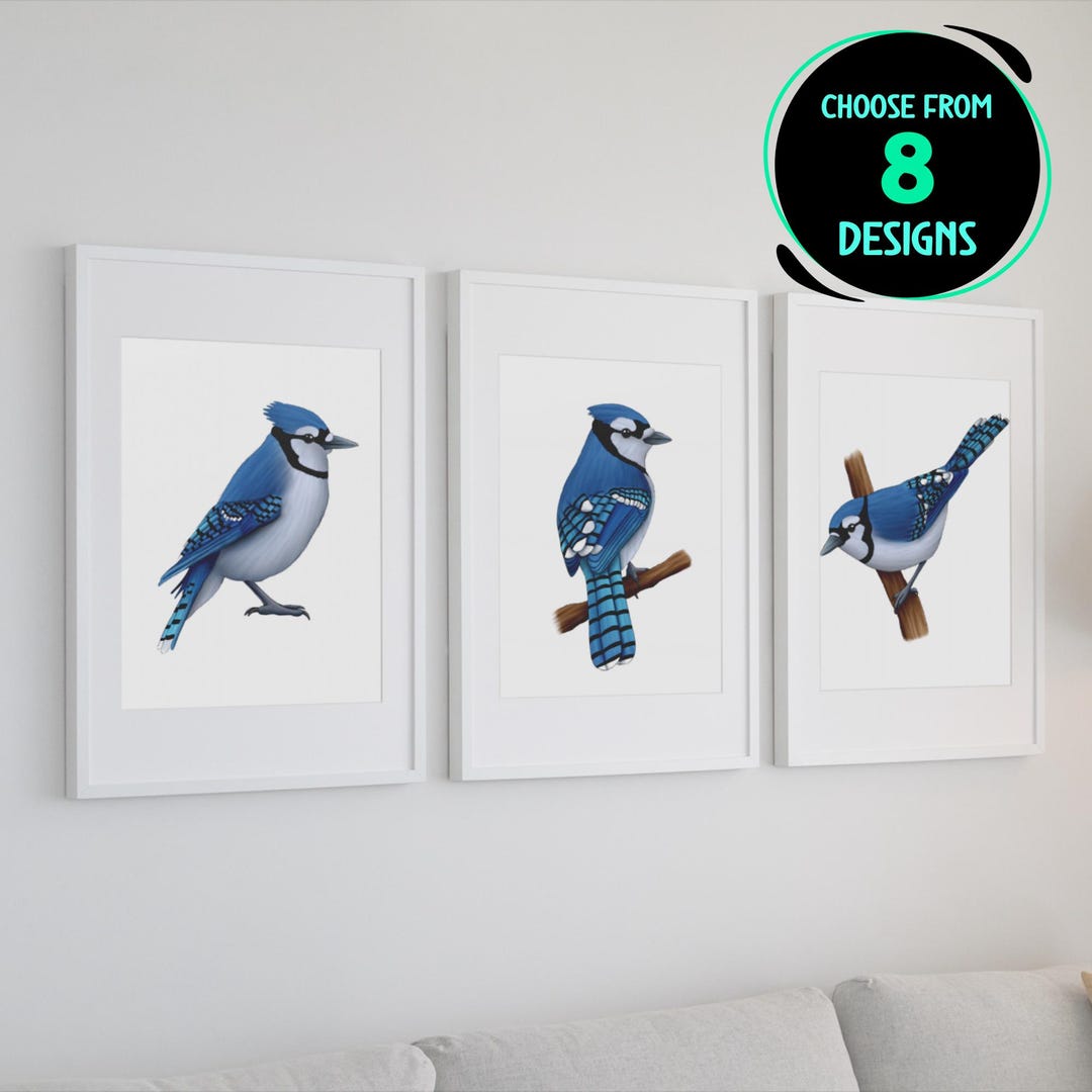 Blue Jay Print Set Vibrant Avian Wall Art Bluebird Illustrations Nature ...