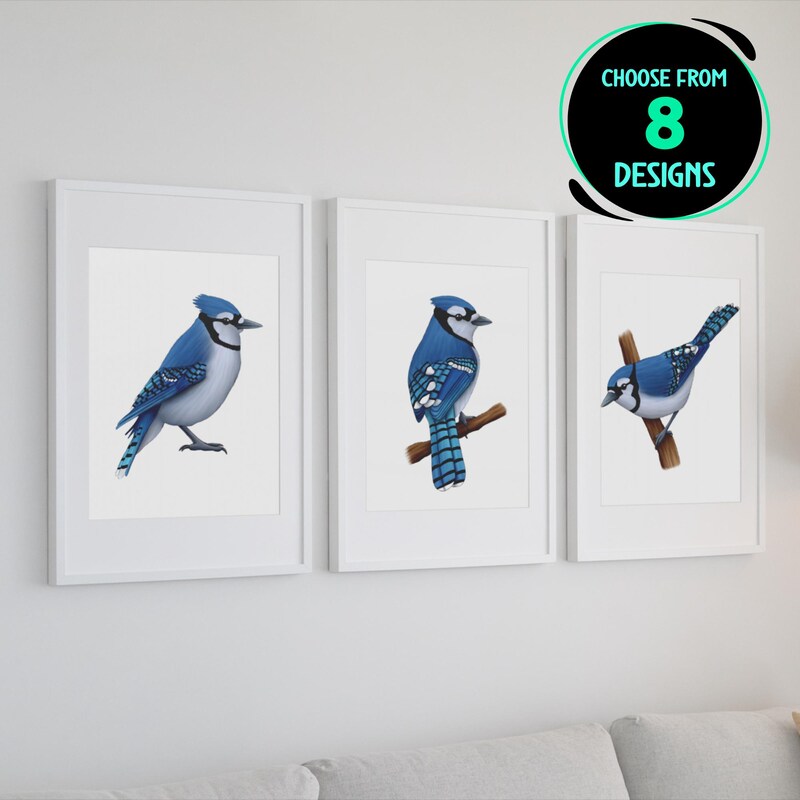 Blue Jay Print - Etsy