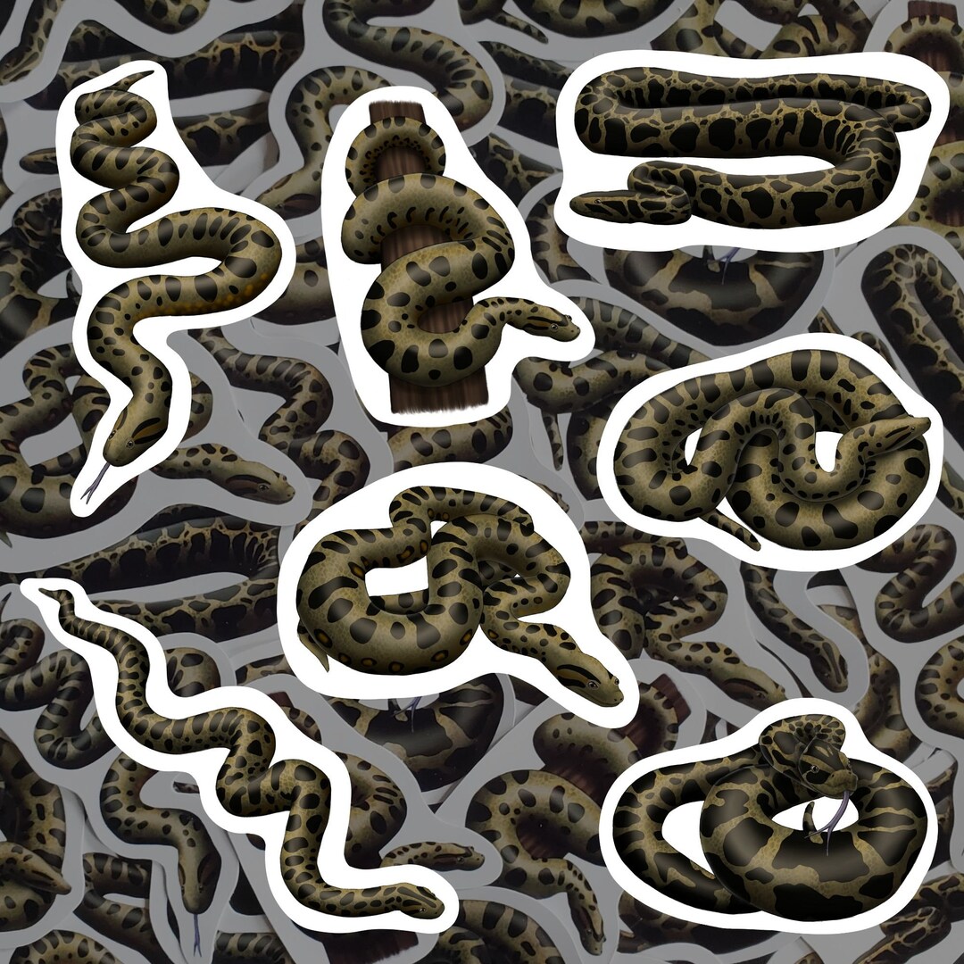 Anaconda Sticker Pack Rainforest Waterproof Vinyl Decal Jungle Wildlife ...