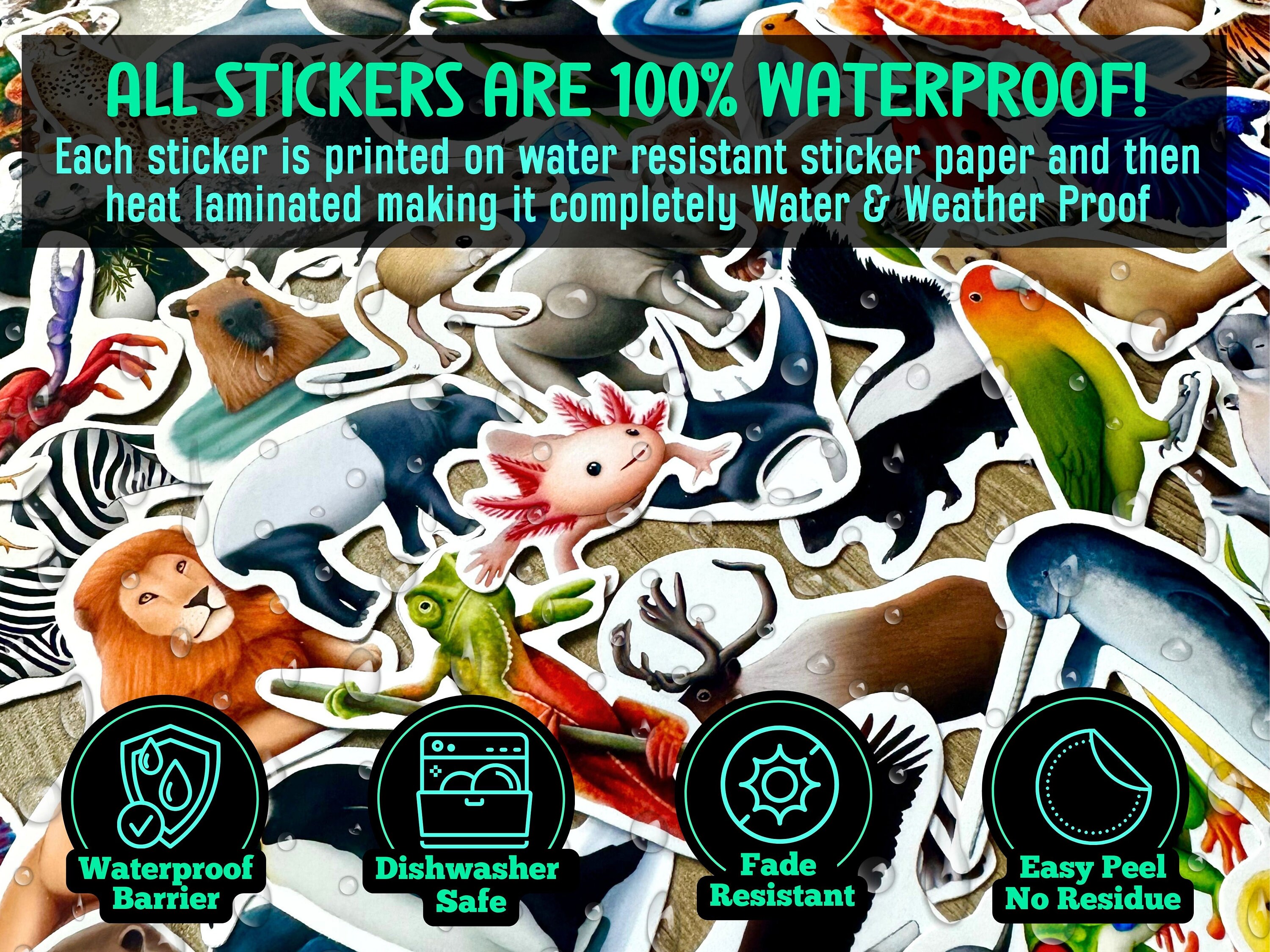 Polar Bear Sticker Pack Arctic Wildlife Decals Waterproof Vinyl Polar ...
